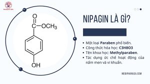 Nipagin là gì? Ứng dụng phổ biến của Nipagin trong dược phẩm