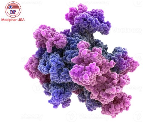 Polypeptide là gì? Vai trò, cơ chế, ứng dụng, cách sử dụng, lưu ý