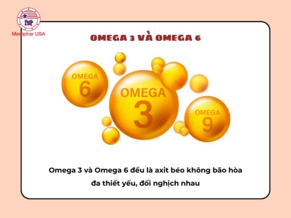 Omega 6 là gì? Tất tần tật về axit béo thiết yếu cho sức khỏe