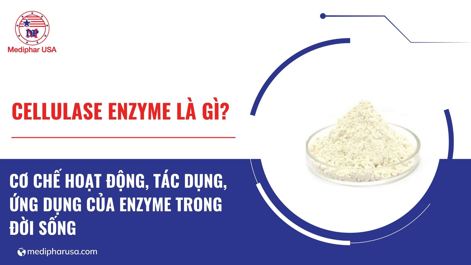 Enzyme là gì? Phân loại, cơ chế hoạt động, vai trò đối với sức khỏe